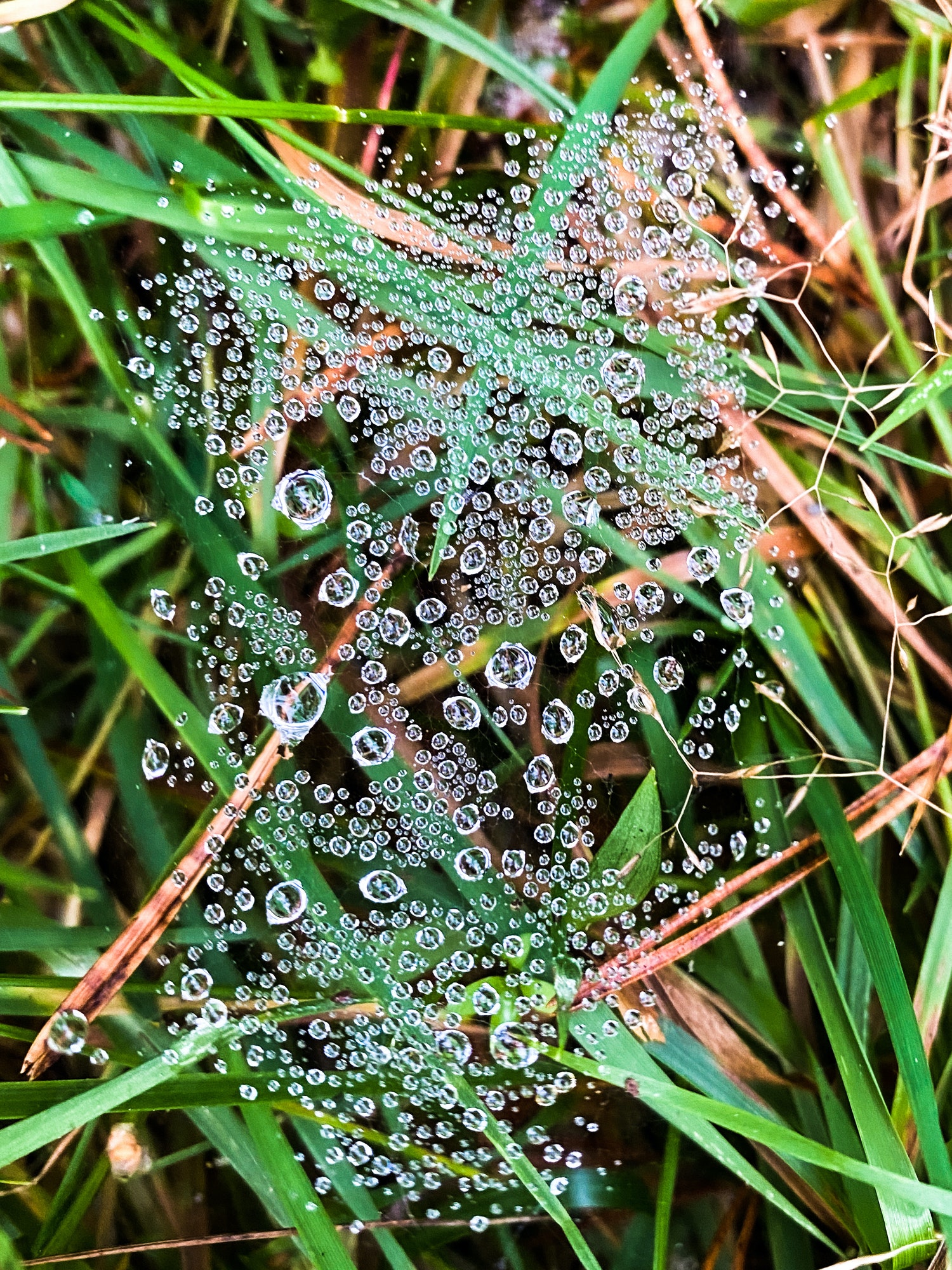 Sacred Wheel CUUPs - Unitarian Universalist Congregation at Montclair