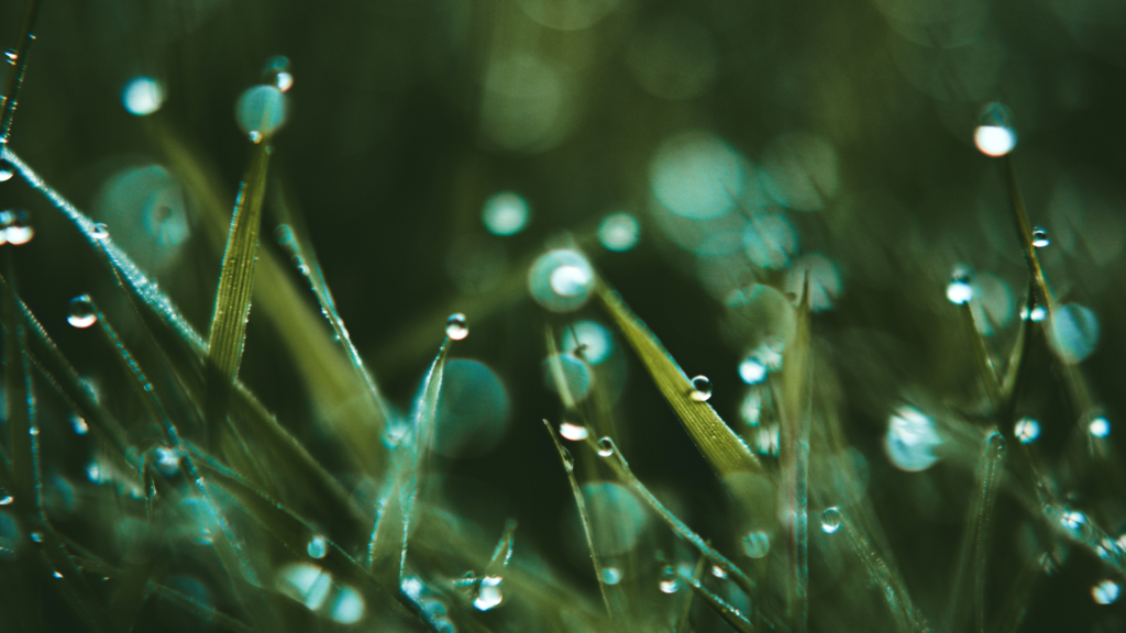 How Many Shapes of Water Are There? - Unitarian Universalist ...